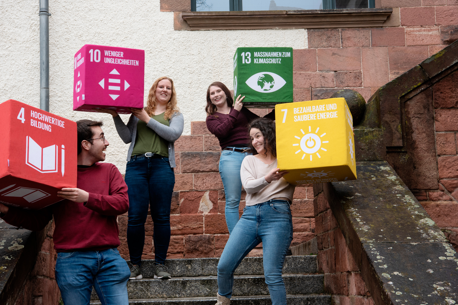 Professionalisation of Academic Teaching to Infuse SDGs in Latin American Universities